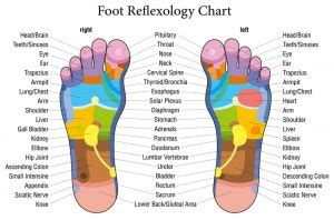 Diy Foot And Hand Reflexology Including Foot Reflexology Chart