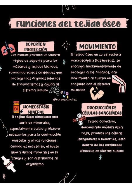 Funciones Del Tejido Seo Forensic Notes Udocz