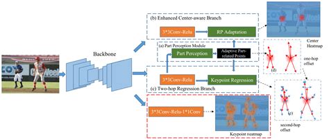 adaptivepose a powerful single stage network for multi person pose regression papers with code