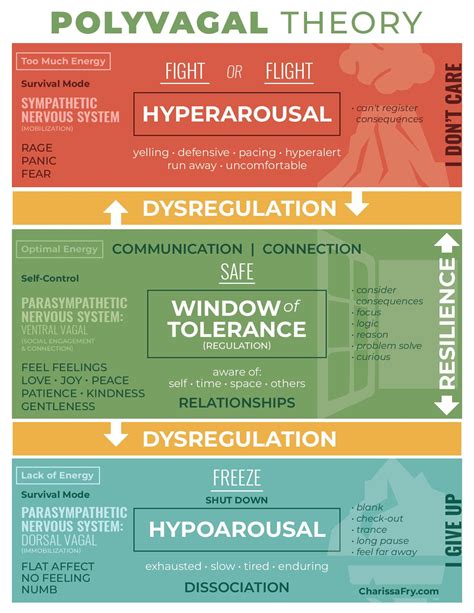 Polyvagal Theory Infographic Charissa Lopez Counseling