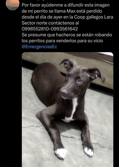 CUPSFIRE on Twitter RT EsparzaStefani Cupsfire gye ayúdennos a