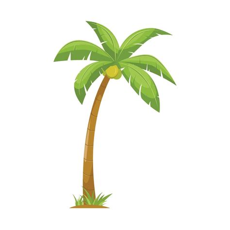 Cartoon Coconut Tree 11535848 Vector Art At Vecteezy