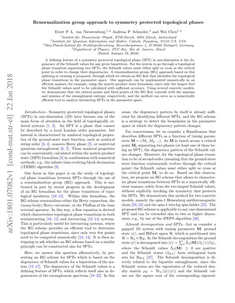 PDF Renormalization Group Approach To Symmetry Protected Topological