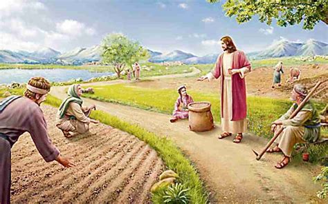 Lectura del Santo Evangelio según San Mateo 13 1 23 El Diario