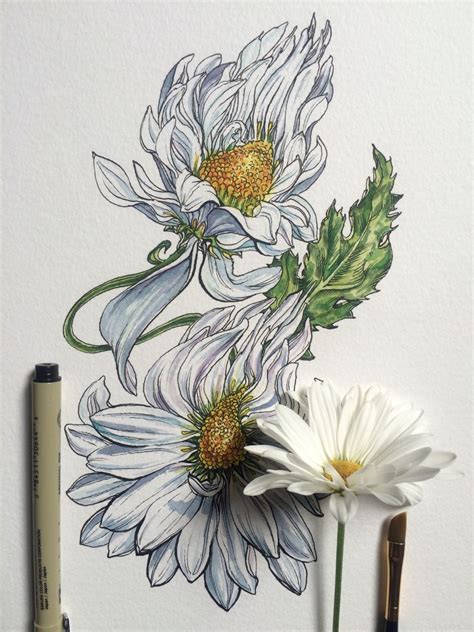 Noel Badges Pugh Flower Art Painting Plant Drawing Flower Drawing