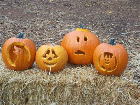 Pumpkin Carving Party Halloween Party Ideas Photo 1 Of 26 Catch My