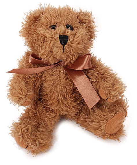 Osito De Peluche PNG