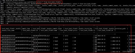 flink，hudi集成，flink sql和hive client端 complexavrokeygeneratorflink csdn博客
