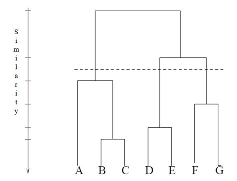 learn with an example hierarchical clustering by rohan joseph medium