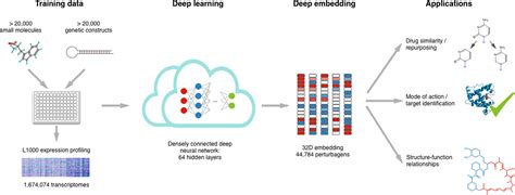 drug repurposing using deep embeddings of gene expression profiles sexiz pix