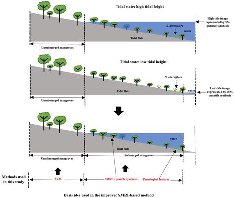 remote sensing free full text an improved submerged mangrove recognition index based method