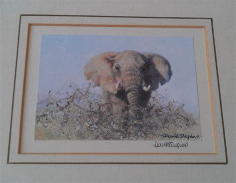 Davidshepherd Elephantsigned Limited Editions Prints
