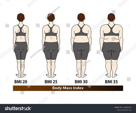 Body Shape Change By Body Mass Index Female Royalty Free Stock