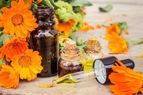 5 Kandungan Skin Care Yang Perlu Anda Cari Untuk Kulit Sehat Dan