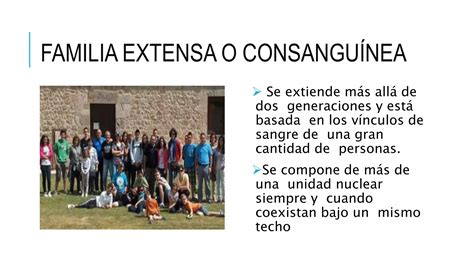 Tipologias Familiares Pptx Descarga Gratuita