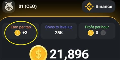 Hamster Kombat Daily Cipher Code 10 June 2024 Niok Net