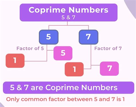 co prime numbers 1 to 100 definition examples properties