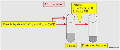 Coagulation Part Activated Partial Thromboplastin Time Aptt