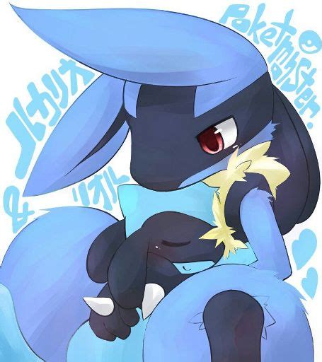 La vida en relación de Lucario y Riolu Pokémon En Español Amino