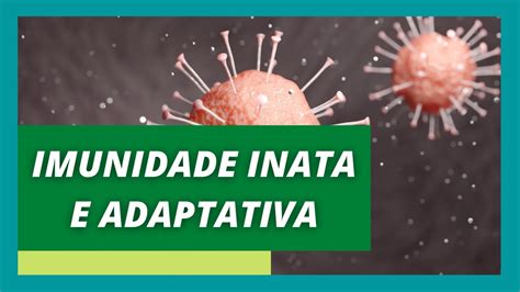 Diferenças Entre Imunidade Inata E Adaptativa BRAINCP