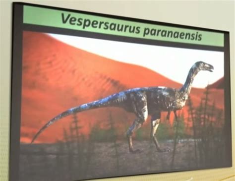 Pesquisadores descobrem espécie inédita de dinossauro no Paraná Folha1