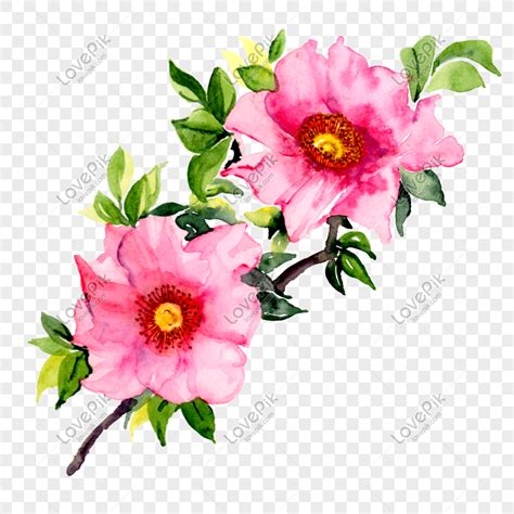Recopilación imagen 200 acuarela flores png Abzlocal mx