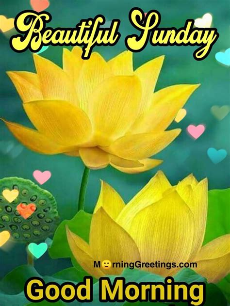 40 Wonderful Happy Sunday Morning Images Morning Greetings Morning