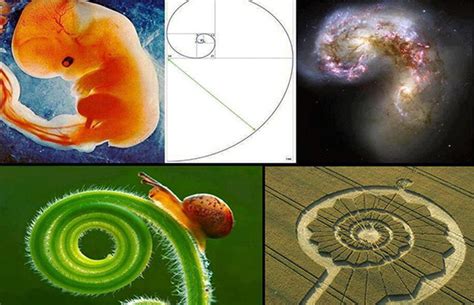 fibonacci sequence formula golden ratio rdhop
