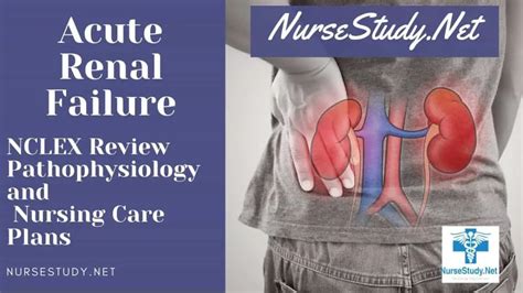 Acute Renal Failure Nursing Diagnosis And Nursing Care Plan