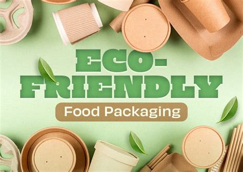 Eco Friendly Food Packaging Plastic Foam Alternatives