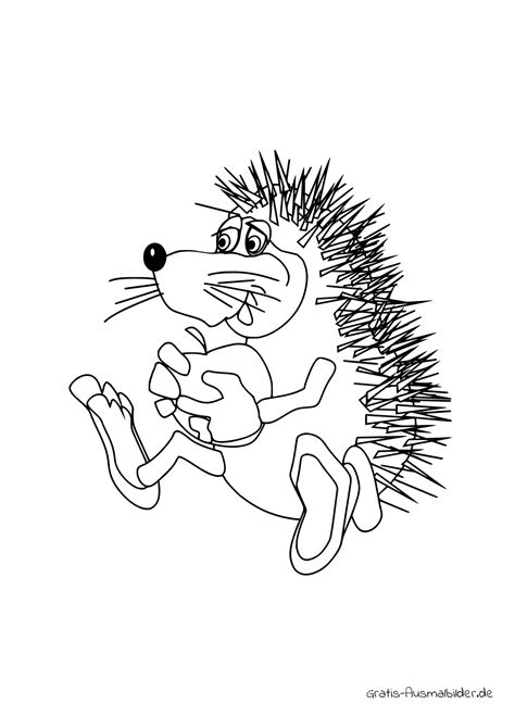 Ausmalbild Igel Kostenlose Malvorlagen Bei Gratis Ausmalbilder De
