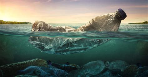 Contaminación del Agua causas características y soluciones