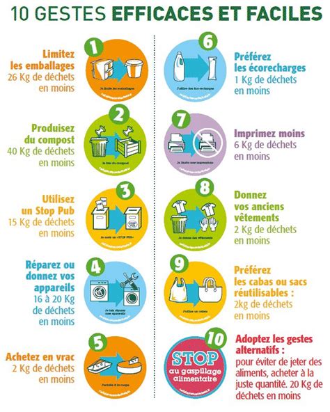 Science infographic L ÉCOLOGIE L ENVIRONNEMENT InfographicNow