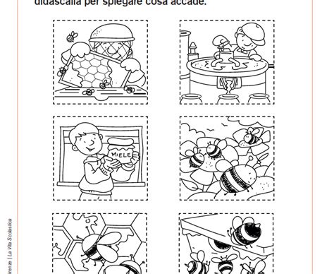 Il Ciclo Del Miele Giunti Scuola