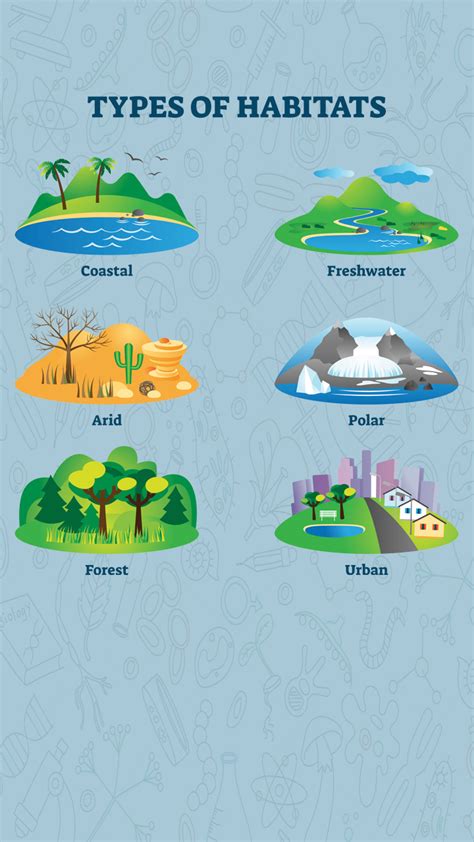 Different Types Of Habitats