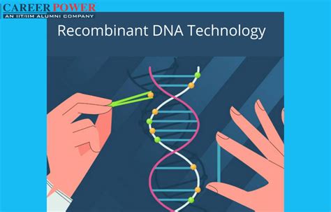 Recombinant DNA Technology Steps Application And Process