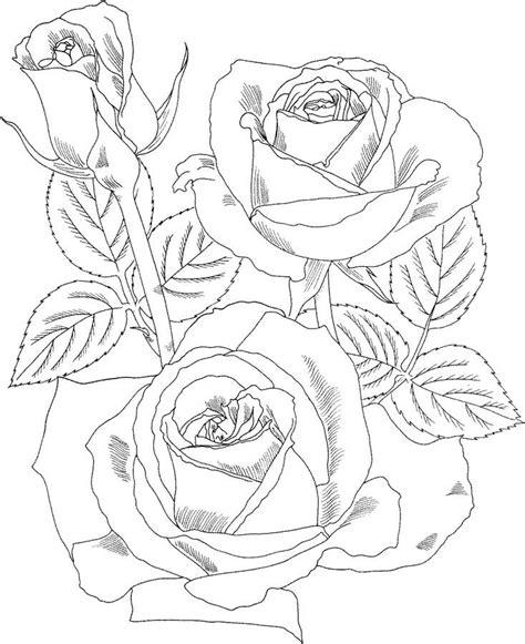 Ausmalbilder Rosen zum ausdrucken kostenlos für Kinder und Erwachsene