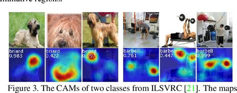 [pdf] learning deep features for discriminative localization semantic scholar