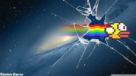 Flappy Bird Breaking Screen Ultra Backgrounds HD Wallpaper Pxfuel
