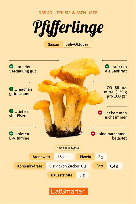 Pfifferlinge Infos Rezepte EAT SMARTER