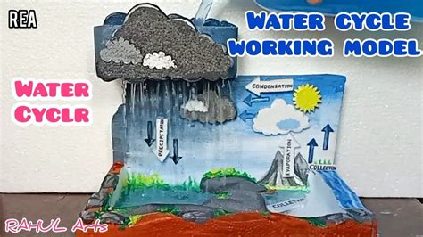 Science Project Working Model School Science Projects Biology