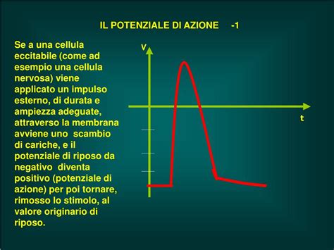 Ppt Effetti Della Corrente Elettrica Sul Corpo Umano Powerpoint