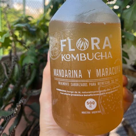 Flora Kombucha Flora Kombucha Reviews Abillion
