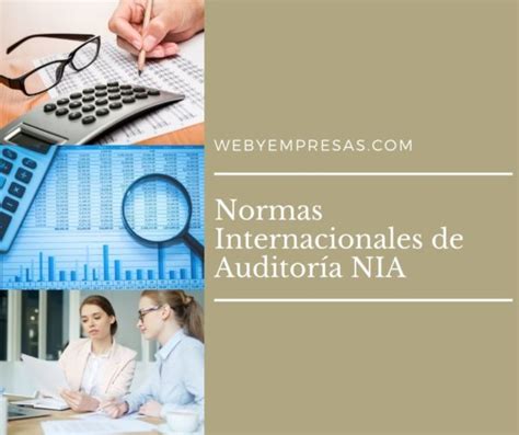 Normas Internacionales de Auditoría NIA Web y Empresas