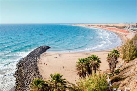 Maspalomas Dünen Strände Palmen auf Gran Canaria