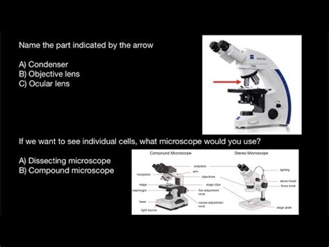 Whats The Difference Between Dissecting Microscope And Compound Microscope