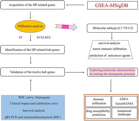 Hub Gene Identification And Molecular Subtype Construction For