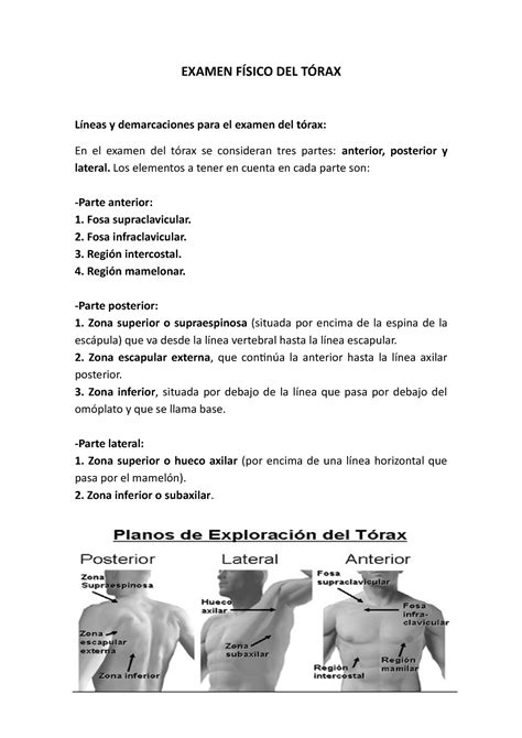 Examen Fisico De Torax Semiologia Hotsell Innoem Eng Psu Ac Th