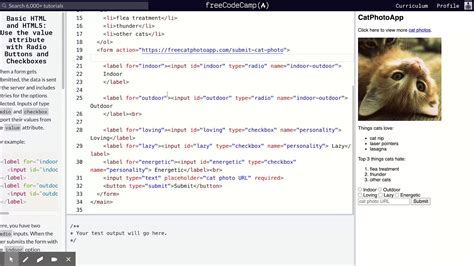 Learn Basic Html And Html5 Use The Value Attribute With Radio Buttons And Checkboxes 24 Youtube