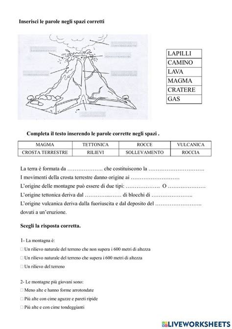 VERIFICA DI GEOGRAFIA LA MONTAGNA worksheet Geografia Attività